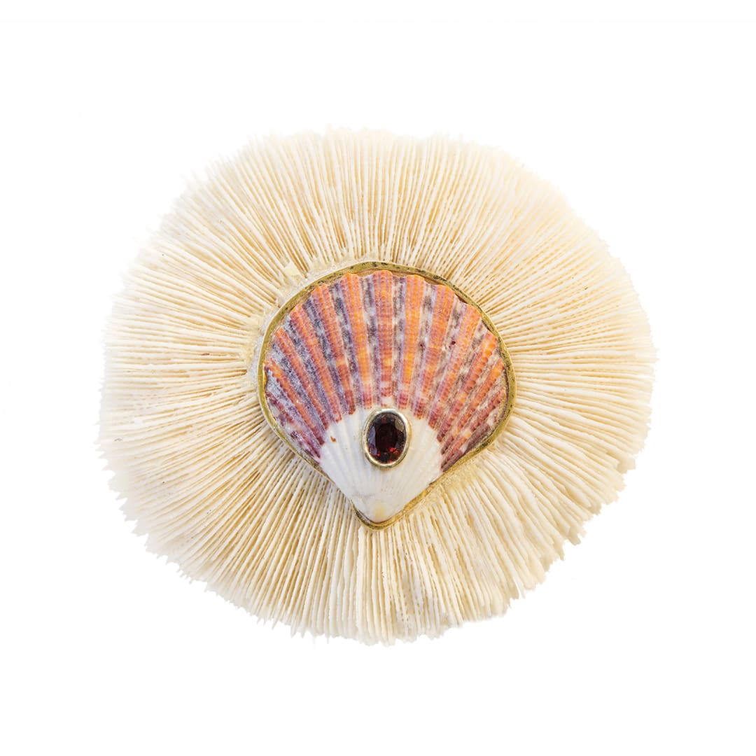 How Christa Wilm Built a Seashell Empire | Flamingo Magazine