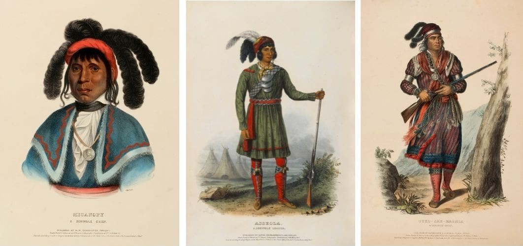 The Fight to Bring Seminole Ancestors Home | Flamingo Magazine