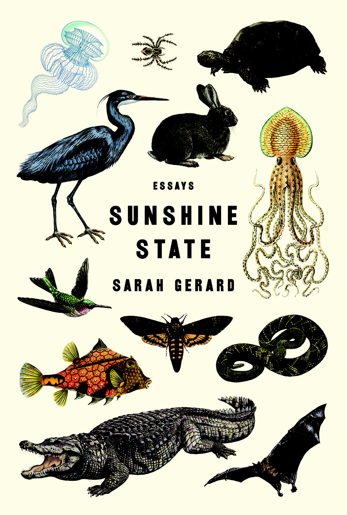 24 Books Every Floridian Should Read | Flamingo Magazine