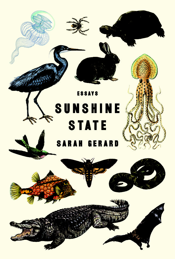 24 Books Every Floridian Should Read | Flamingo Magazine
