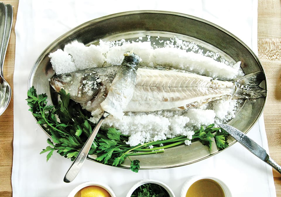 Just Hatched: Debuts to Peruse | Flamingo Magazine