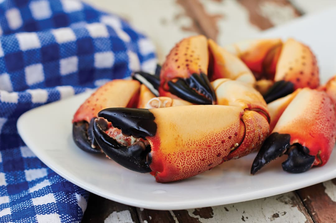 Crack into Florida Stone Crab at Home this Season | Flamingo Magazine