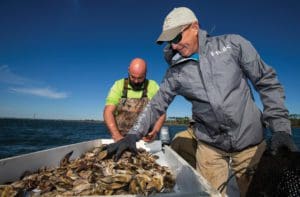 Meet the Farmers Leading an Oyster Revival on the Forgotten Coast ...