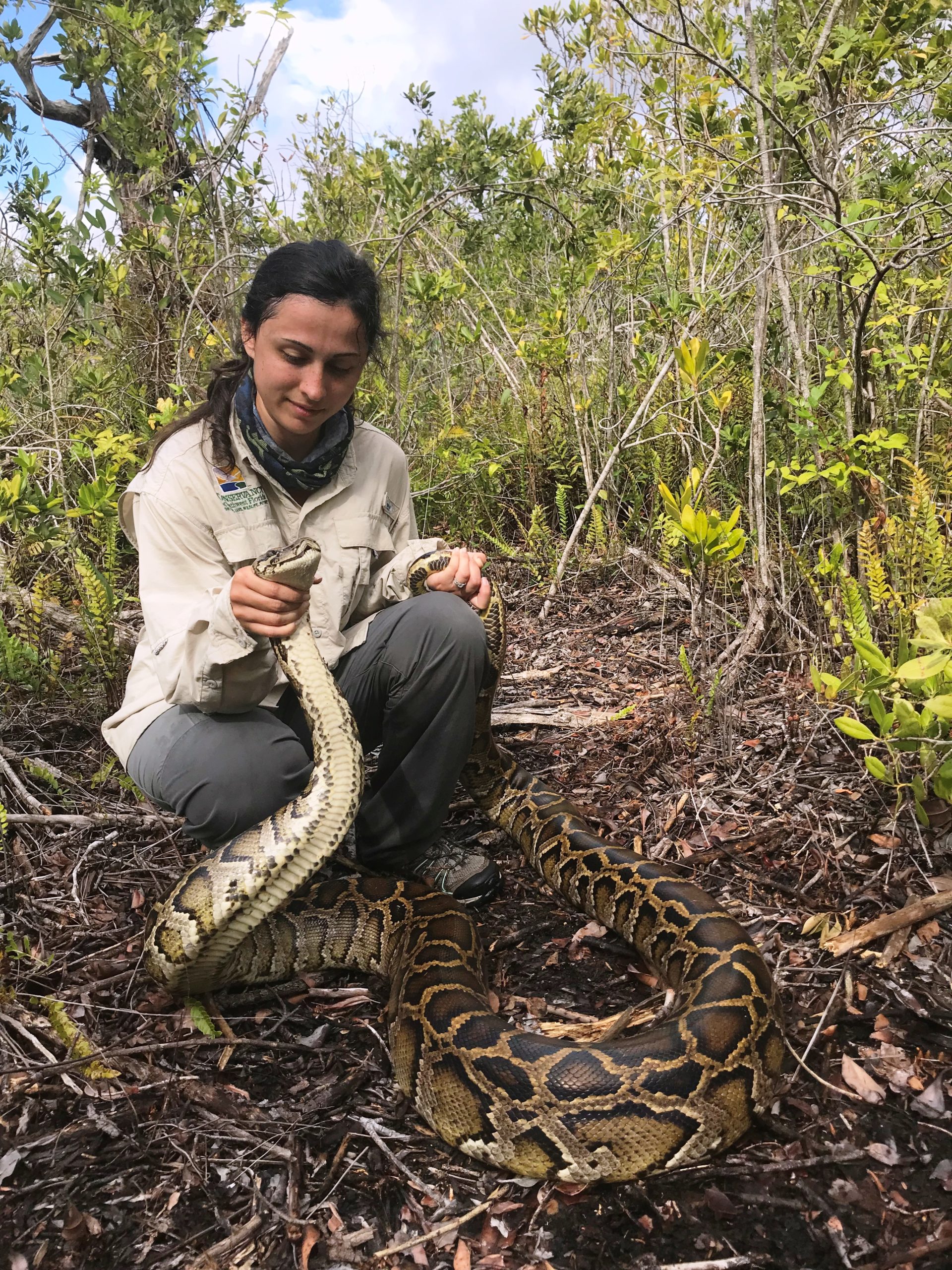 Hunting Pythons with Science and Speed | Flamingo Magazine