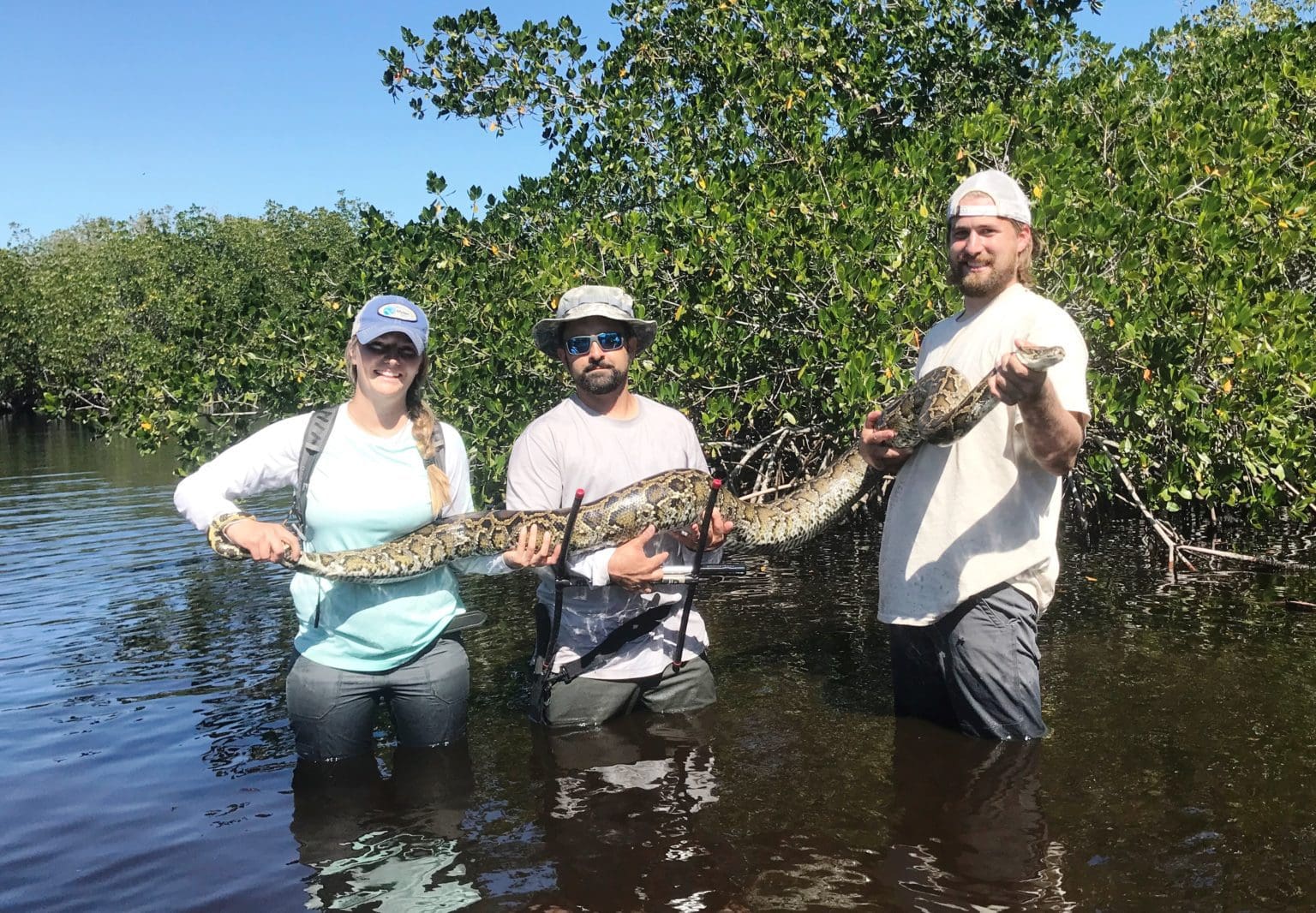 Hunting Pythons with Science and Speed | Flamingo Magazine