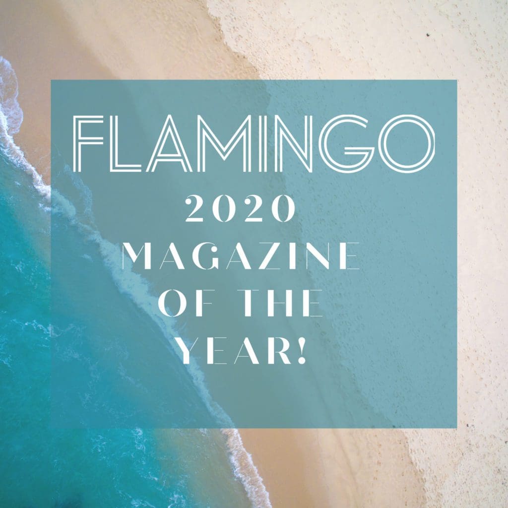 Flamingo Named 2020 Magazine of the Year | Flamingo Magazine