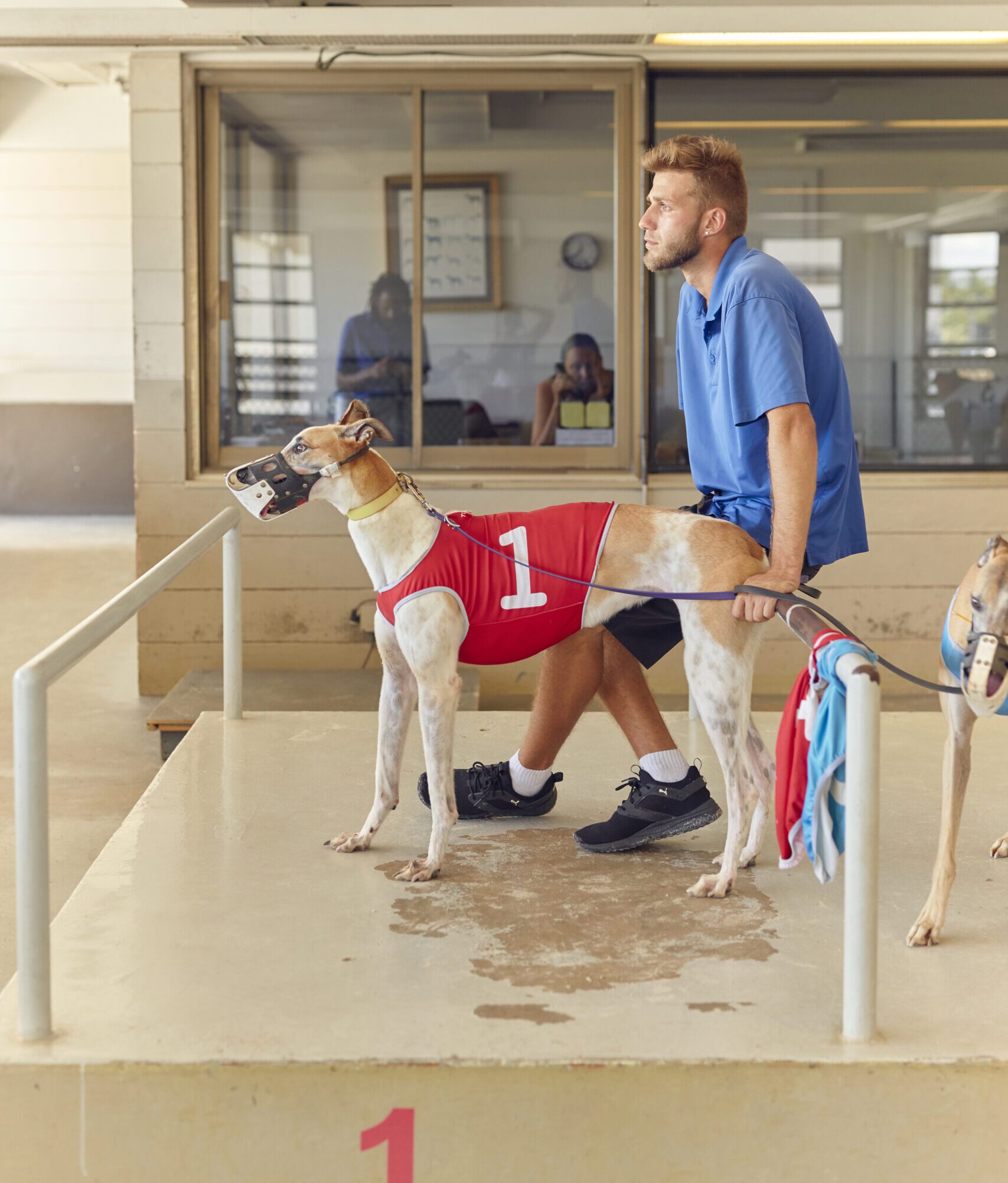 Meet the Godfather of Greyhound Racing | Flamingo Magazine
