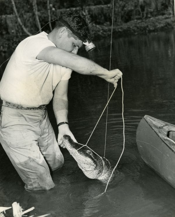 Ross Allen: Florida's Own Reptile Wrangler | Flamingo Magazine
