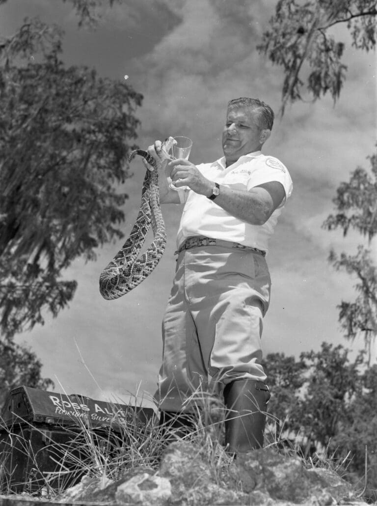 Ross Allen: Florida's Own Reptile Wrangler | Flamingo Magazine