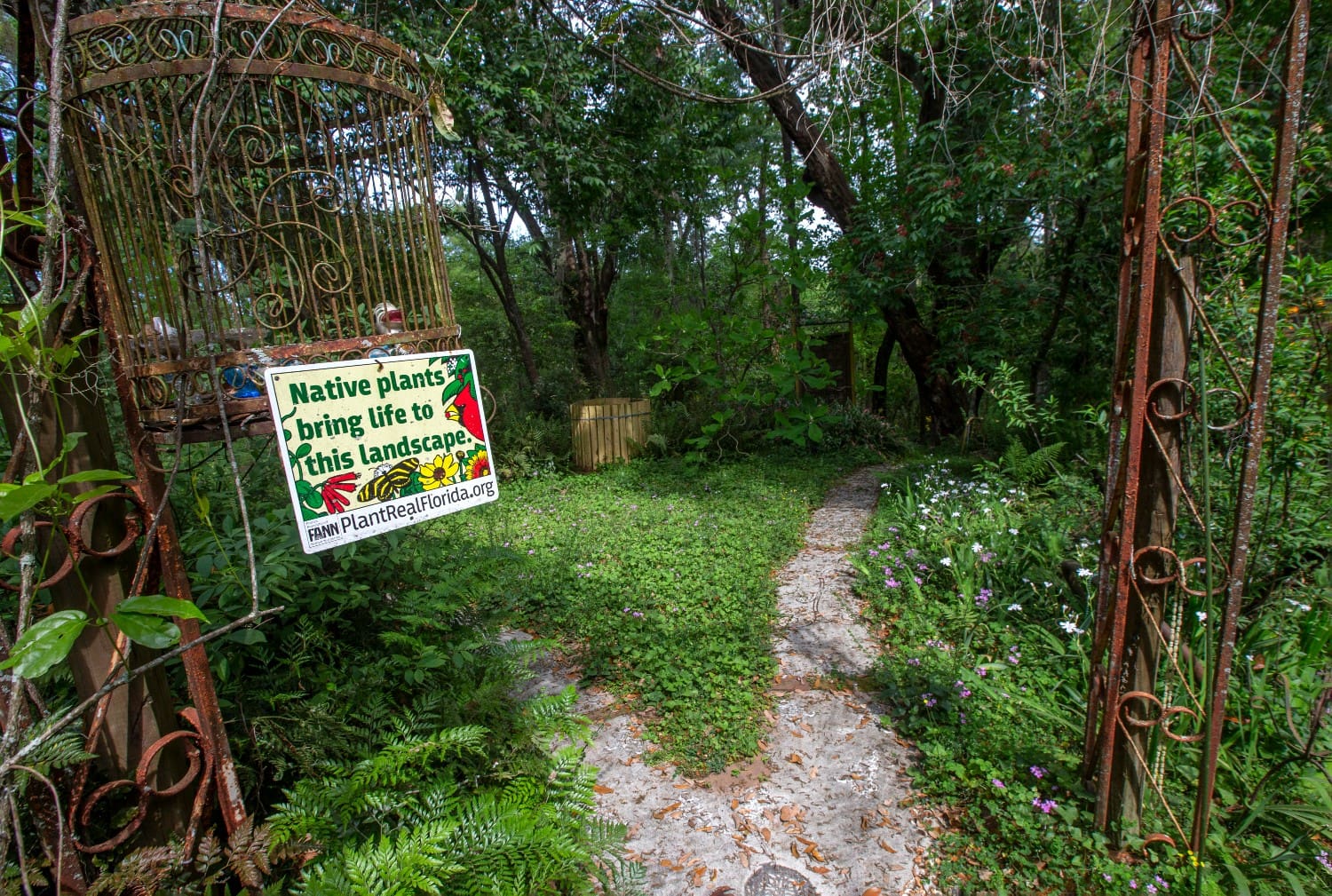 Take a Walk on the Wild Side | Flamingo Magazine