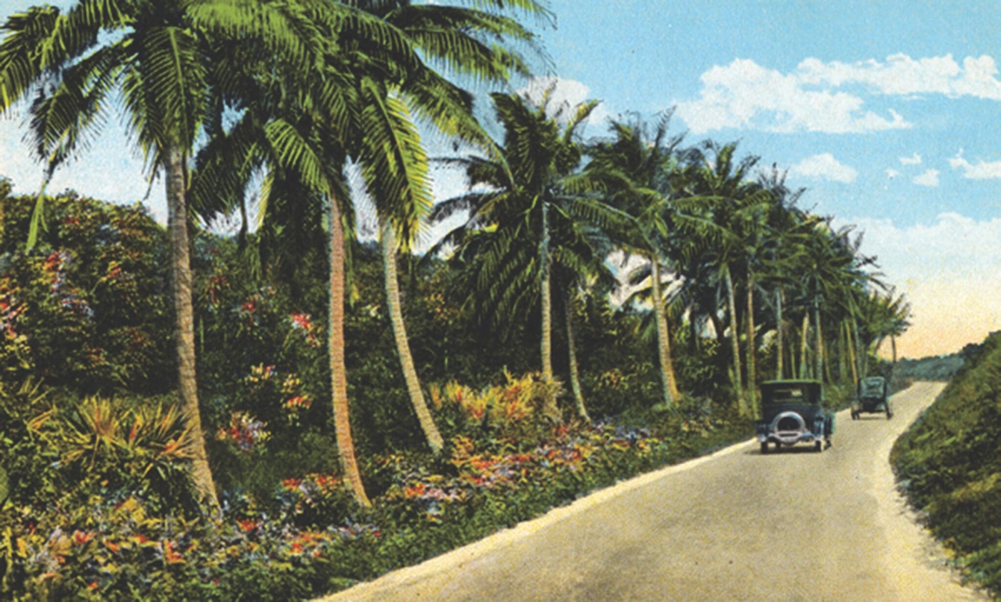 Drivin' the Dixie Highway: How Florida's Dream Road Turned to Dust ...