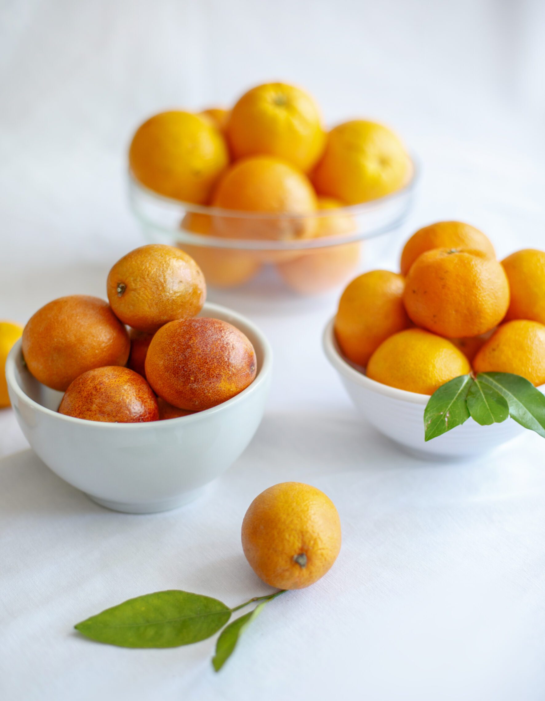 Remembering the Sweet Smell of Central Florida Citrus | Flamingo Magazine