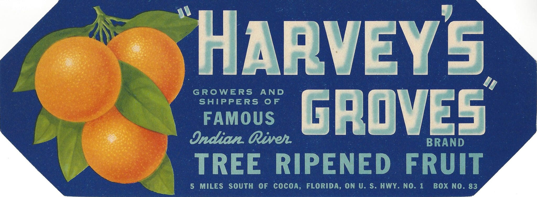 Remembering the Sweet Smell of Central Florida Citrus | Flamingo Magazine