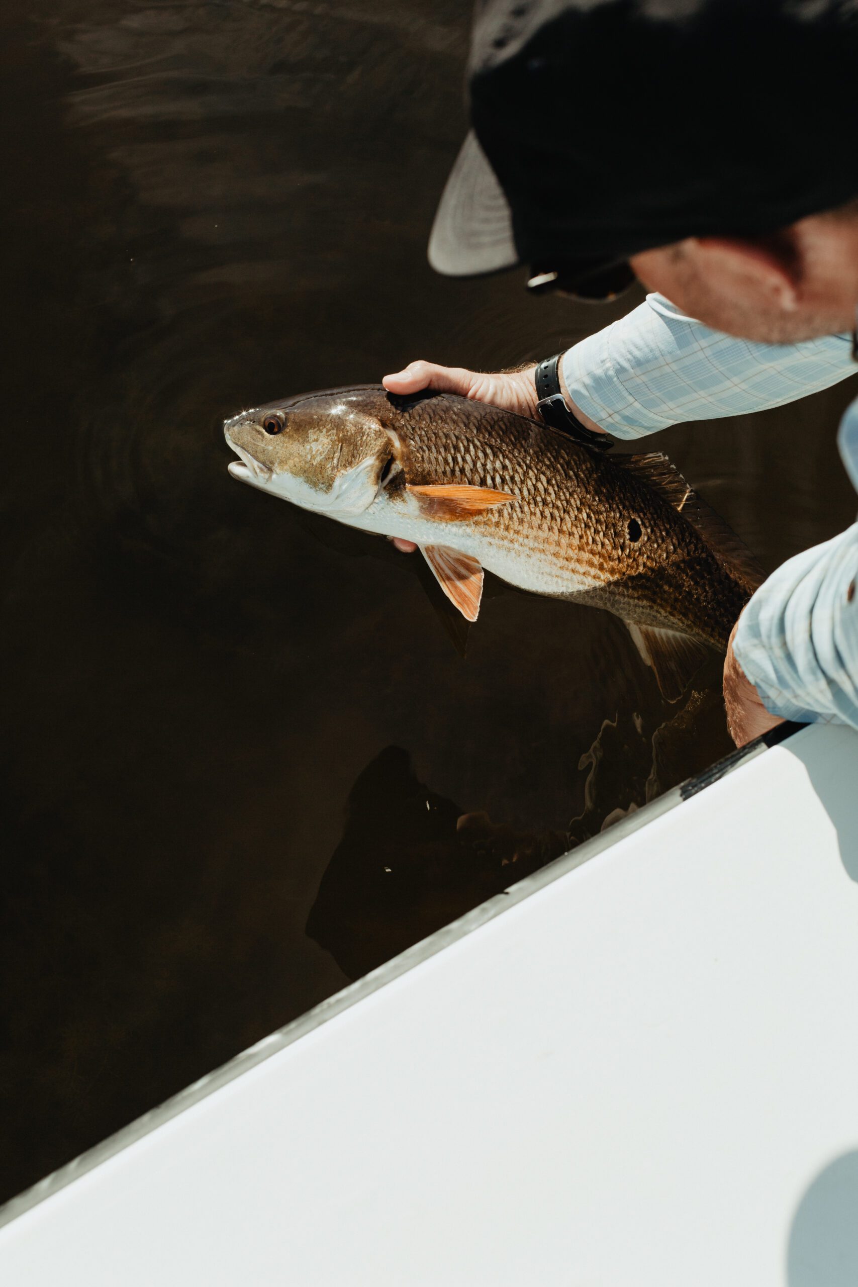 Meet Two Swamp Witches Saving the Everglades | Flamingo Magazine