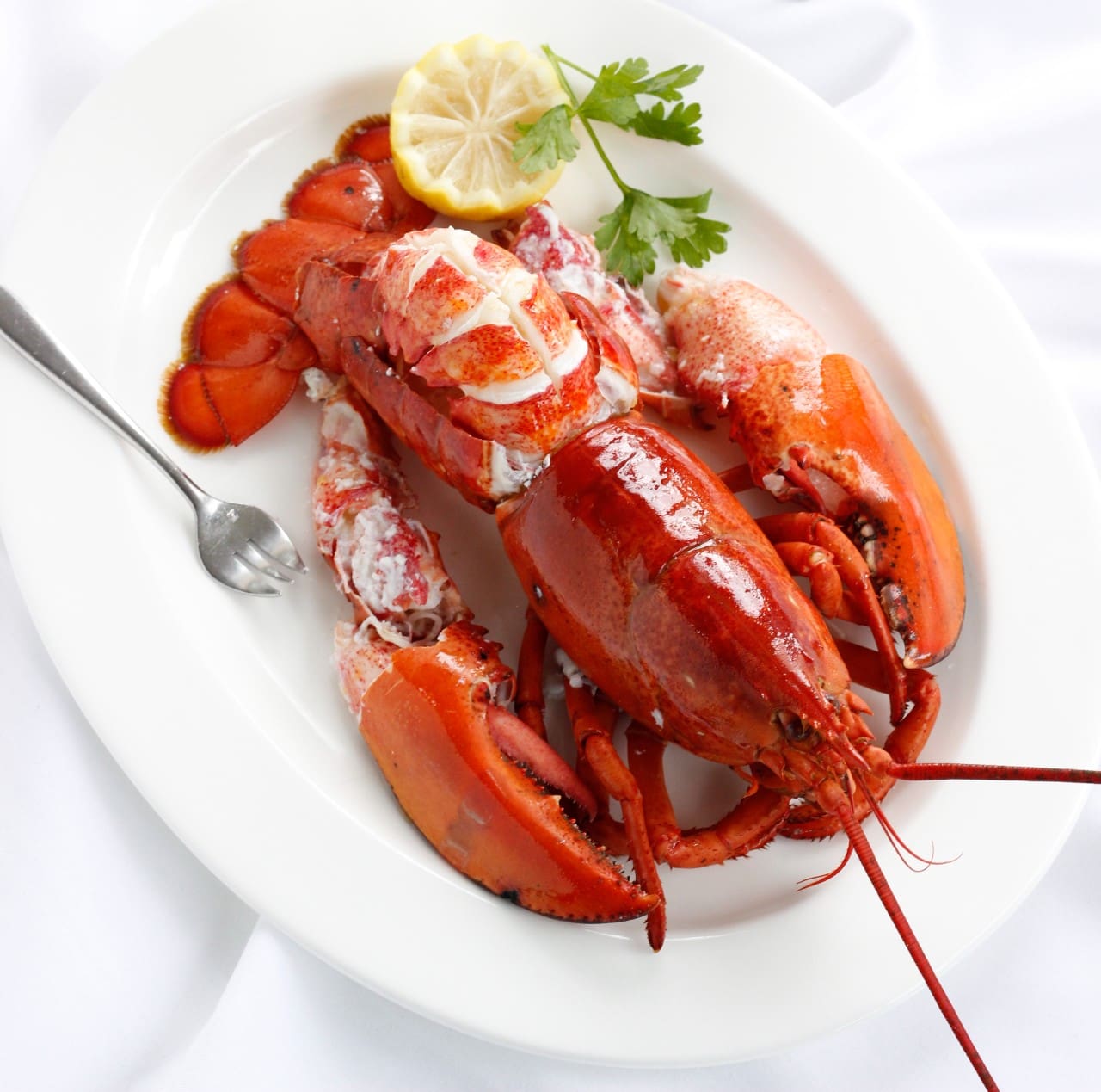 Our 5 Favorite Places to Eat Lobster in Florida | Flamingo Magazine