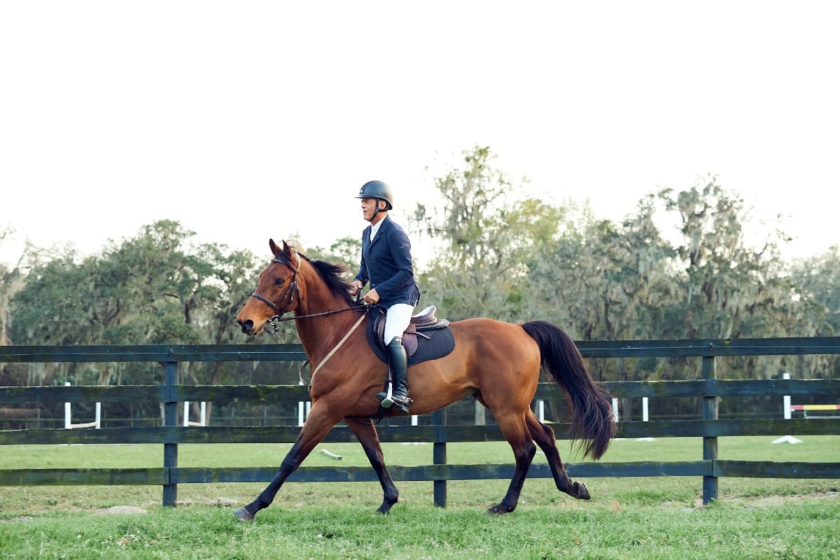 Ocala Levels Up in the Fast-Paced Equestrian World | Flamingo Magazine