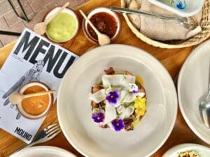 A Botanical Miami Garden Getaway | Flamingo Magazine