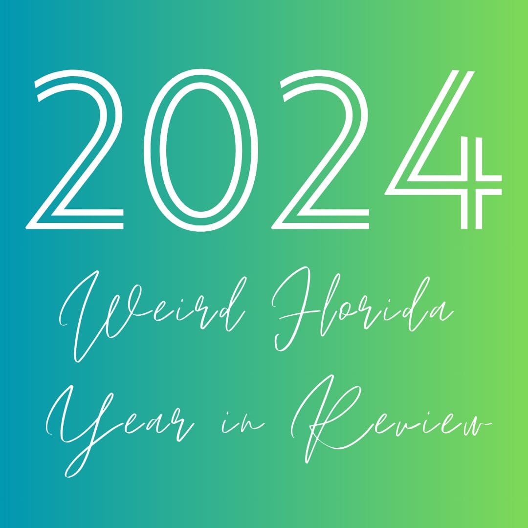 Weird Florida: The Wildest Headlines From 2024 | Flamingo Magazine
