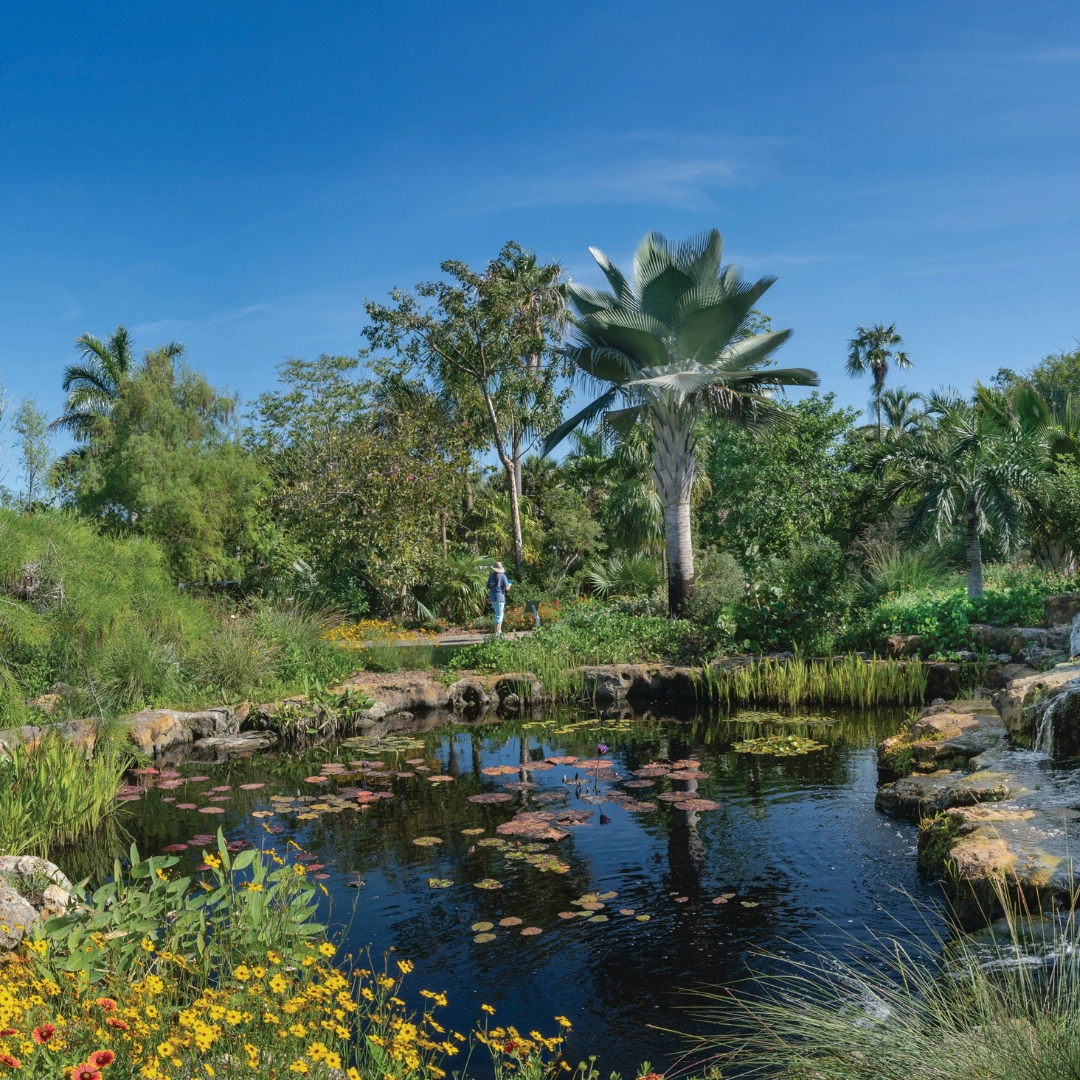 Naples Botanical Garden Celebrates Environmental Artistry | Flamingo ...