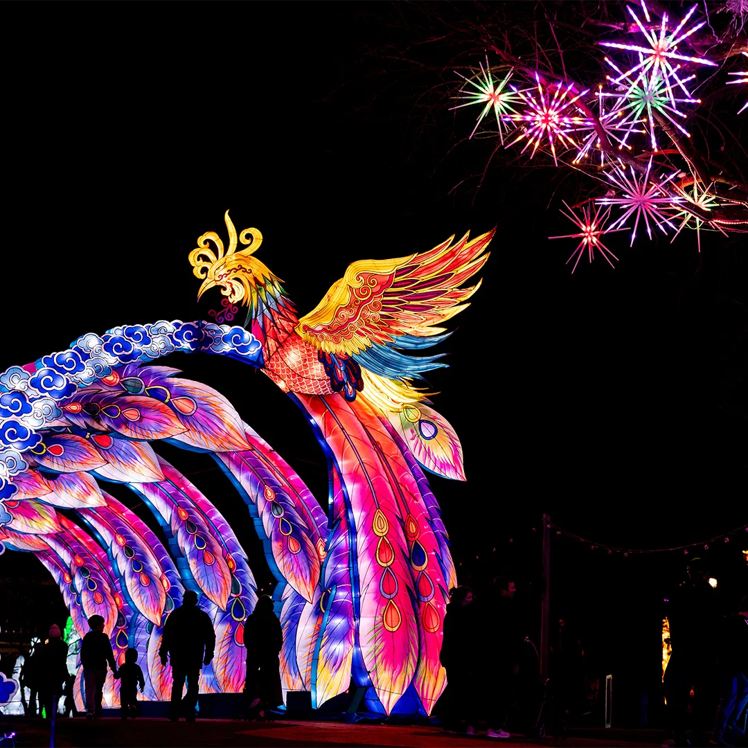 Florida's Holiday Light Shows | Events | Flamingo Magazine
